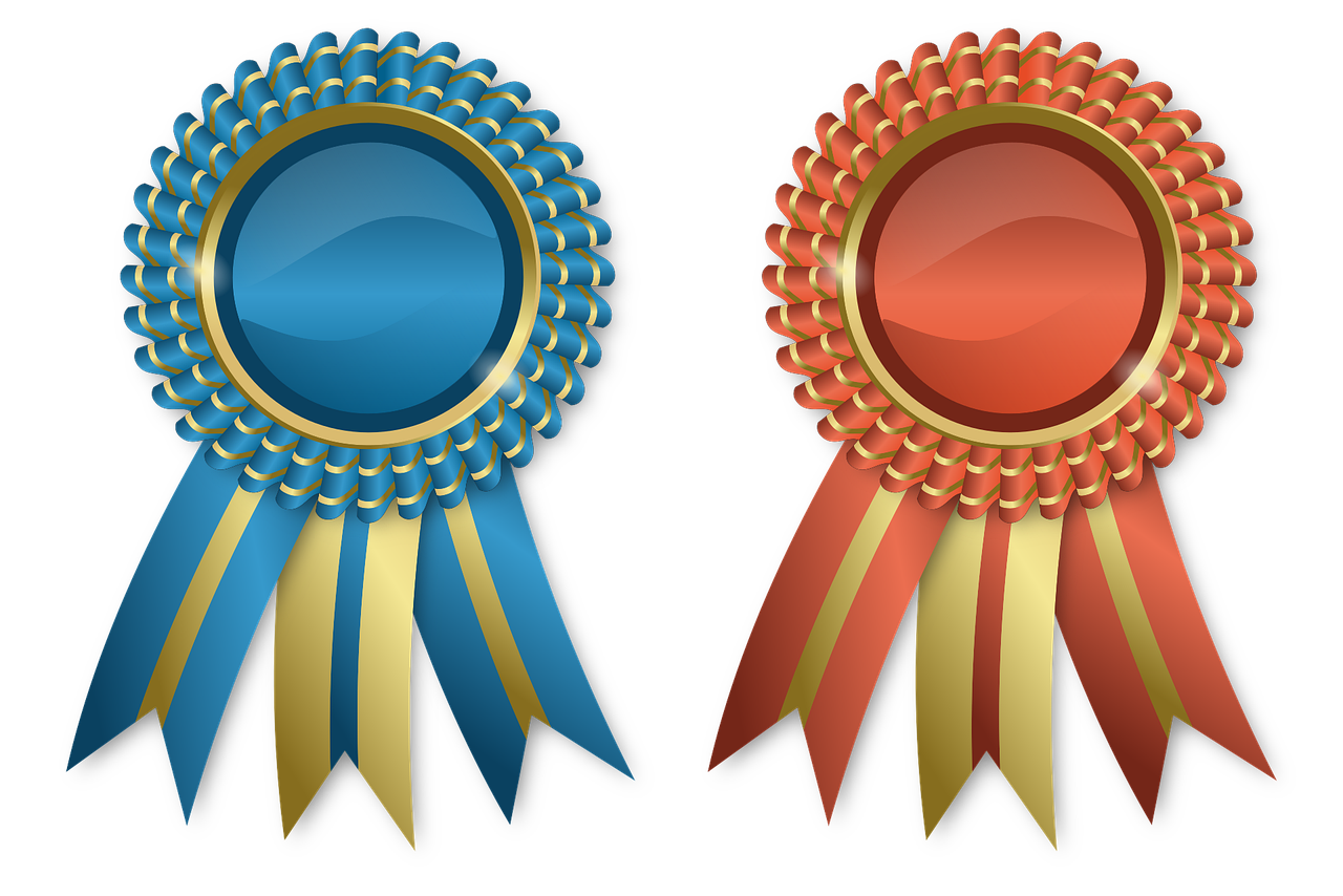 Passeport d'orientation, de formation et de compétences, une mise en ...